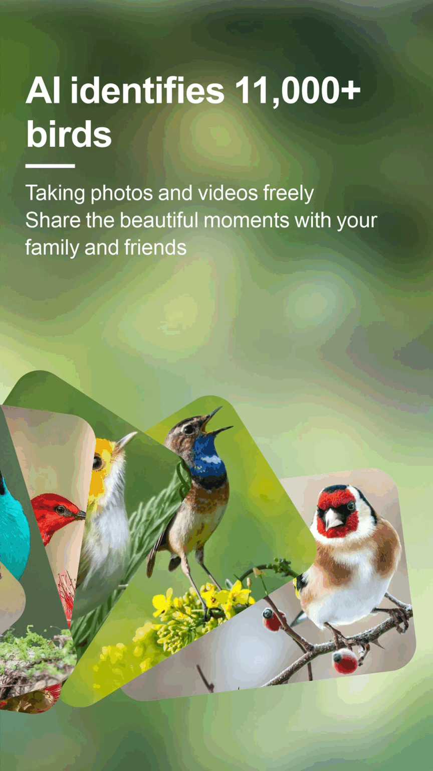 Bird Lover App - ultimate smart bird feeder companion app